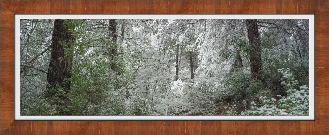 The Snow Seal | Alexander Vershinin | Online Gallery