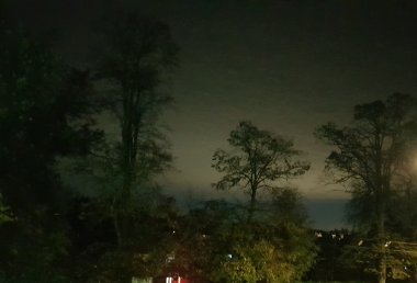 Marius Muntean | Online Gallery