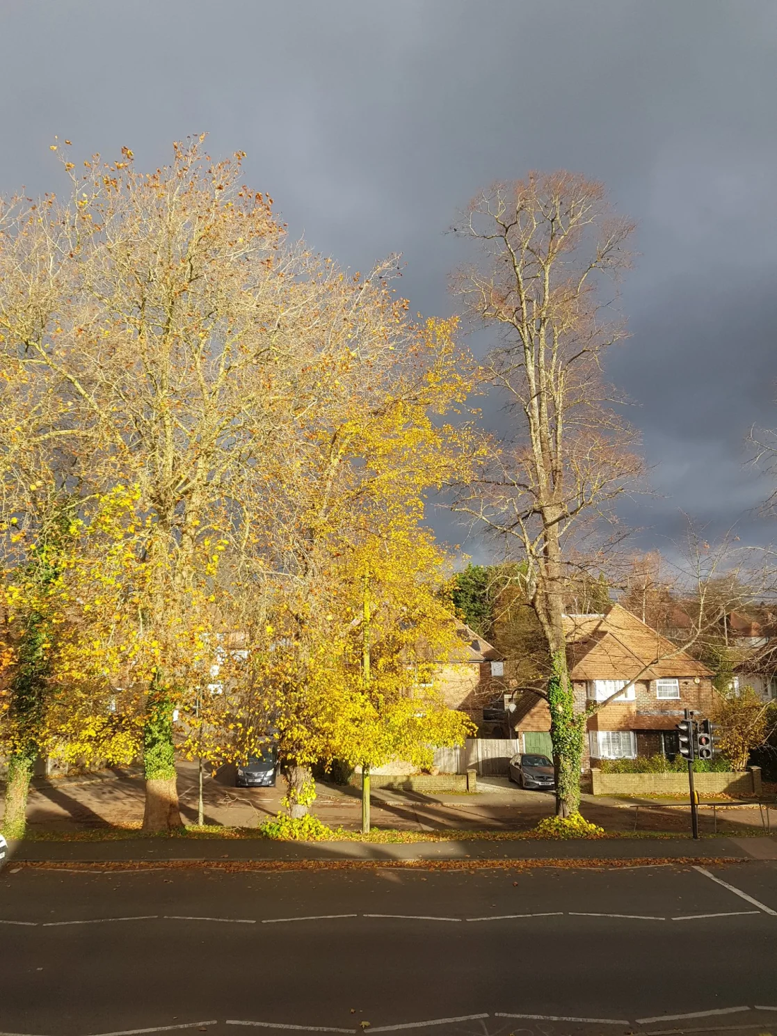 Autumn clouds | Marius Muntean | Online Gallery