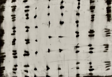 Sonja Rosing | Online Gallery