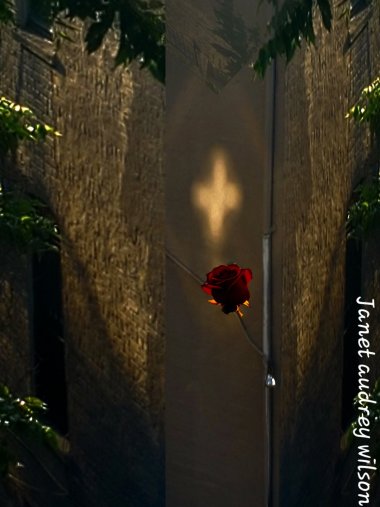 Janet Audrey Wilson | Online Gallery