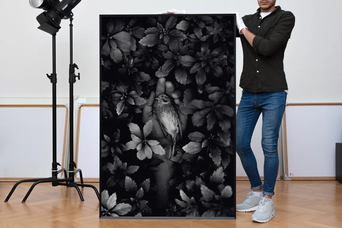 Holes In The Sky | Martin Stranka | Online Gallery