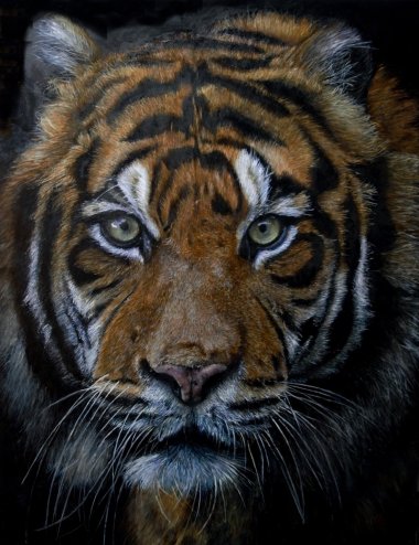 Maria Arias | Online Gallery