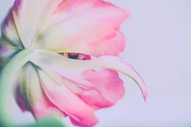 Photography | Online Gallery